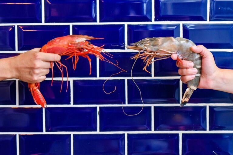 Dancing Lobster, etalonul gastronomiei portugheze în România - Restograf.ro