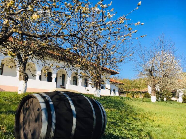 Conace frumoase din România, de trecut pe lista destinațiilor de ...